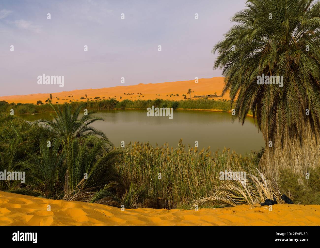 See megafezzan -Fotos und -Bildmaterial in hoher Auflösung – Alamy