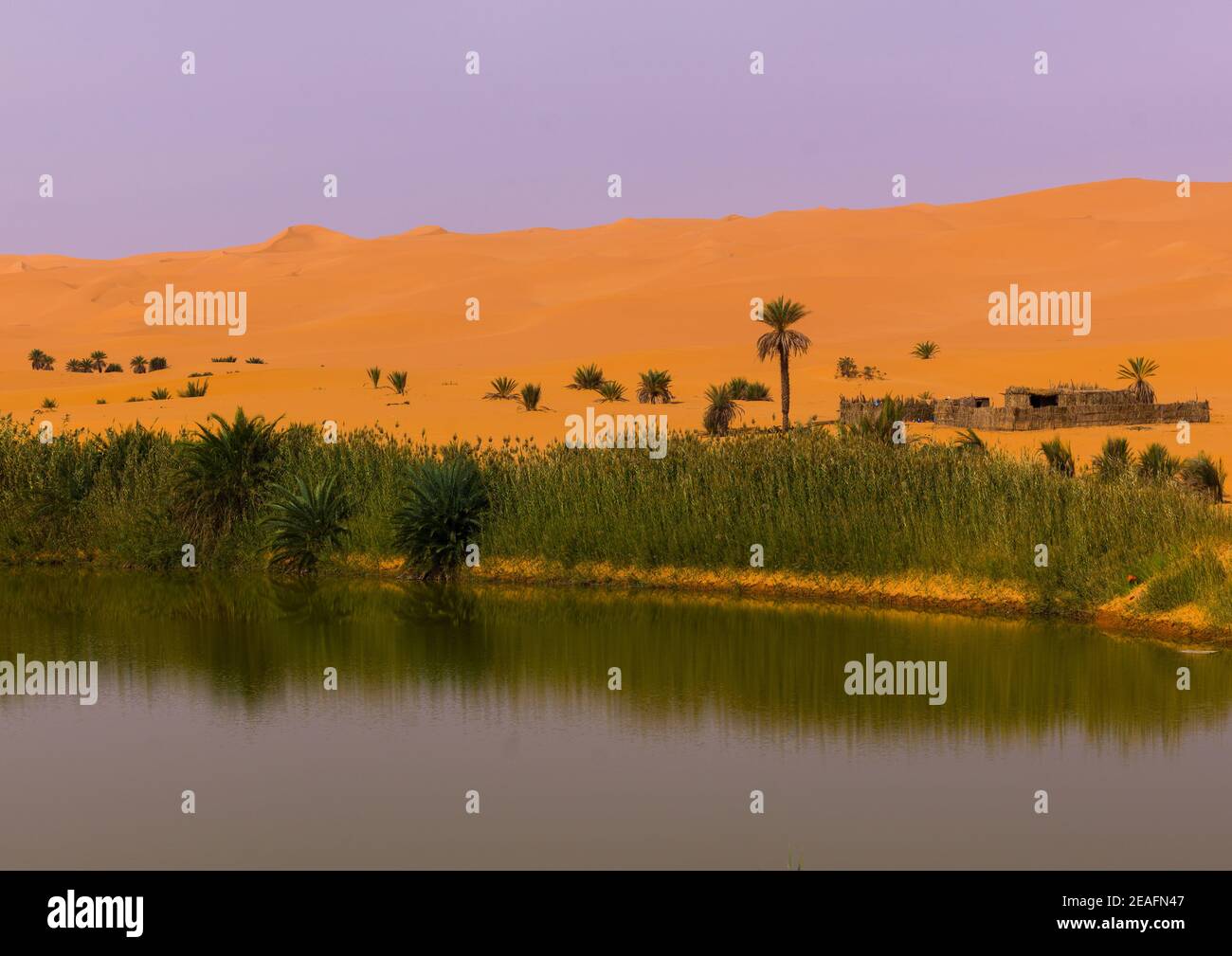 See megafezzan -Fotos und -Bildmaterial in hoher Auflösung – Alamy