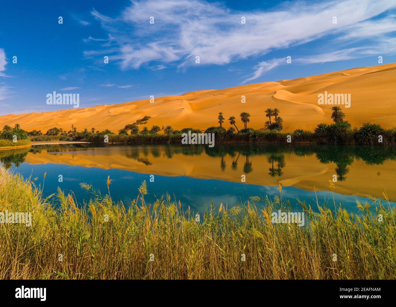 See megafezzan -Fotos und -Bildmaterial in hoher Auflösung – Alamy