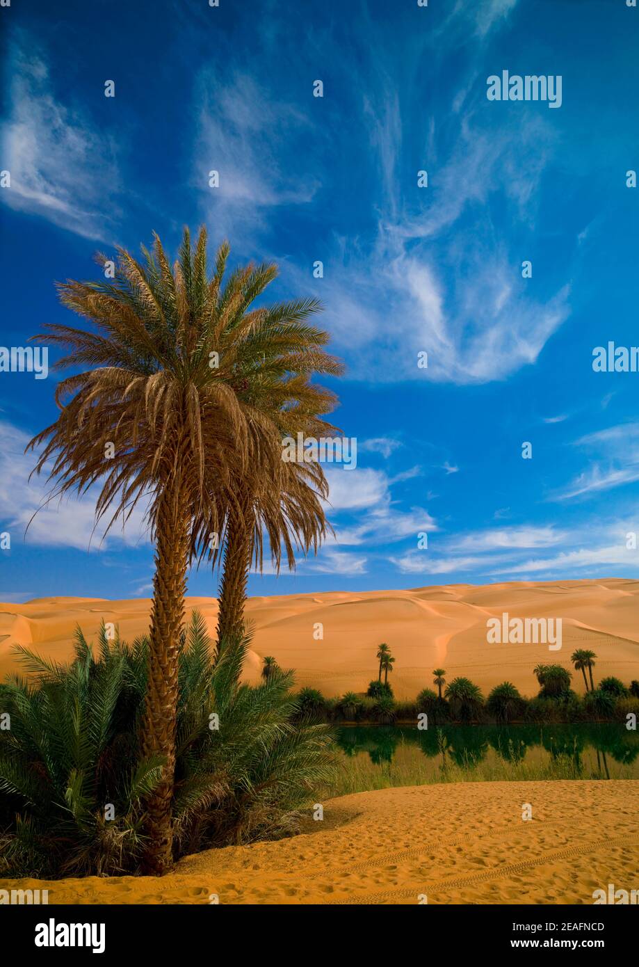 See megafezzan -Fotos und -Bildmaterial in hoher Auflösung – Alamy