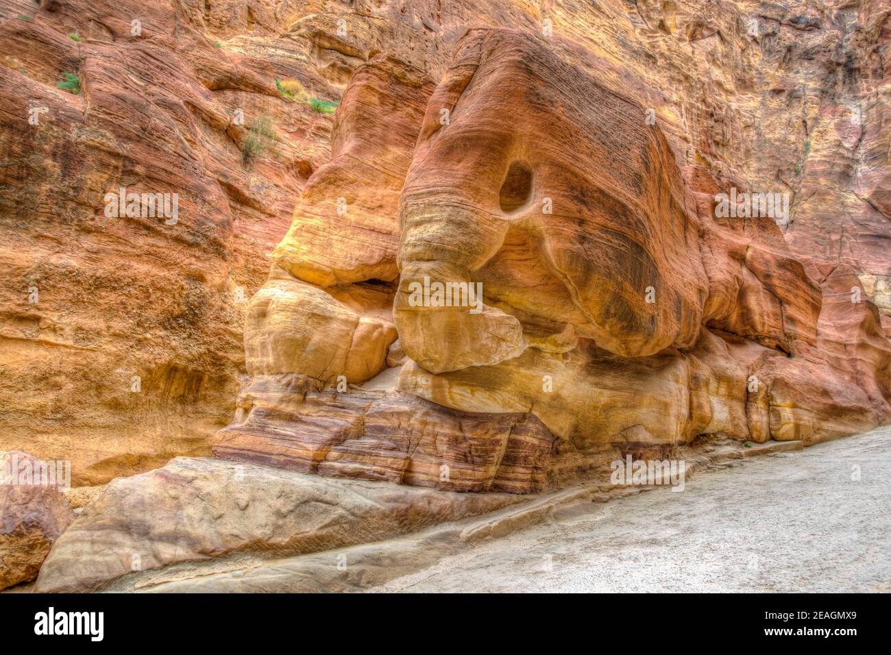 Felsdenkmal, das einem Elefanten und einem Fisch in der siq Schlucht ...