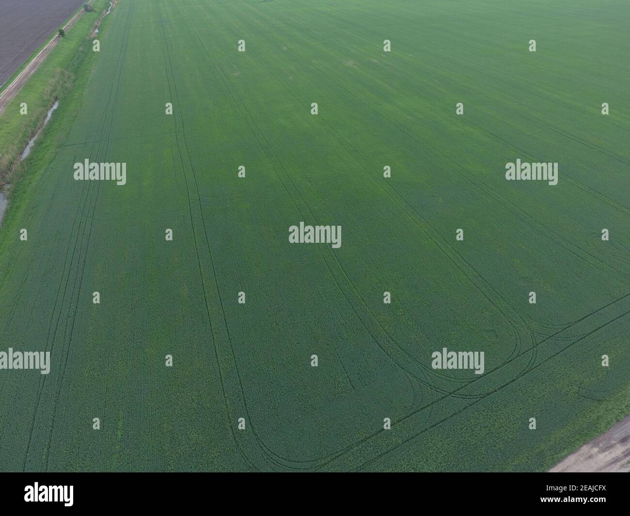 Bauernhof weizen -Fotos und -Bildmaterial in hoher Auflösung – Alamy