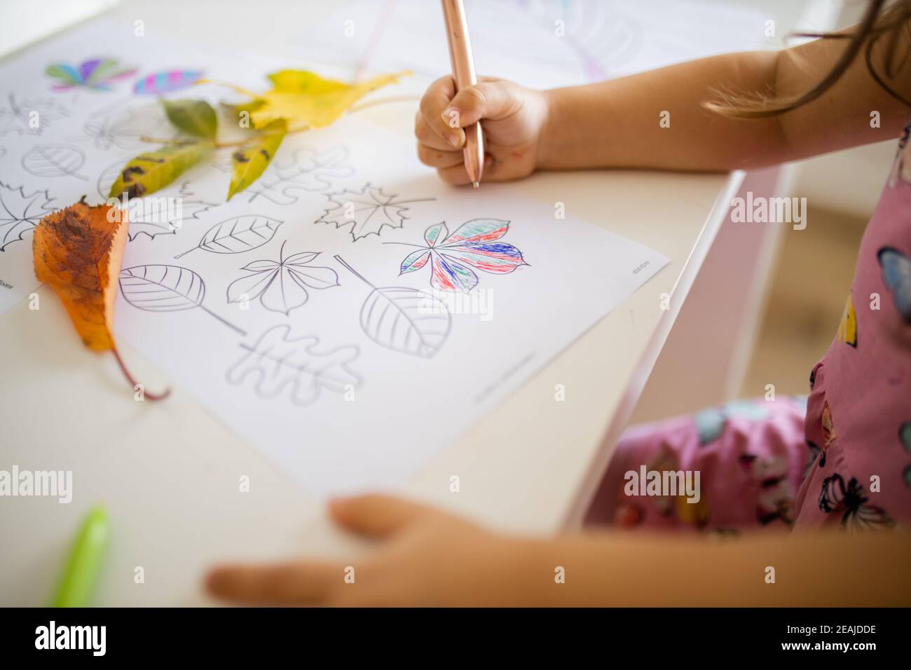 Wie man ein blatt zeichnet -Fotos und -Bildmaterial in hoher Auflösung ...