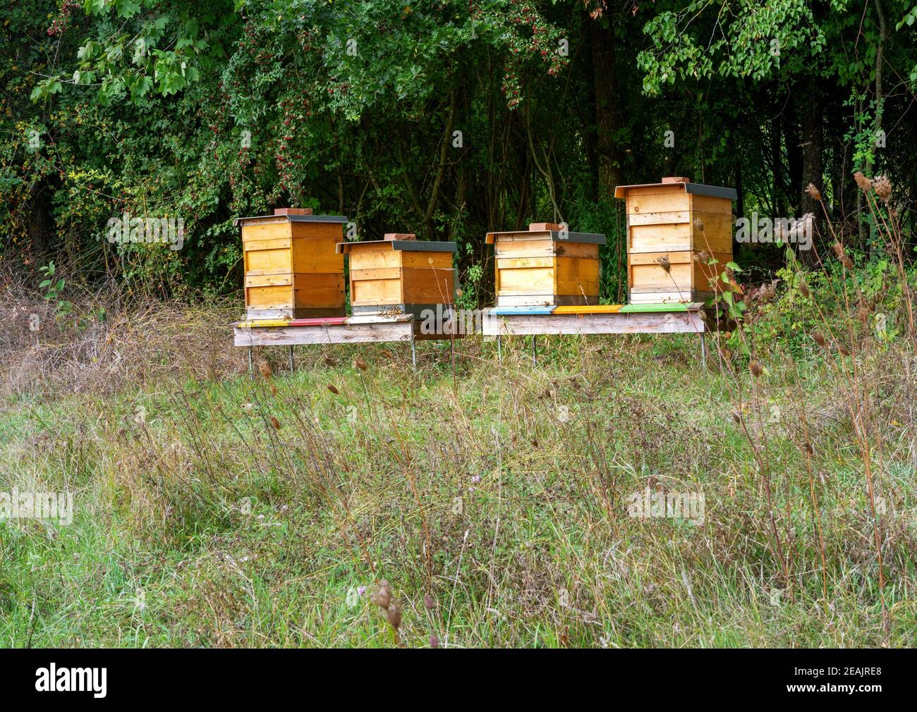 Bienenstock imkerei Stockfotos und -bilder Kaufen - Alamy
