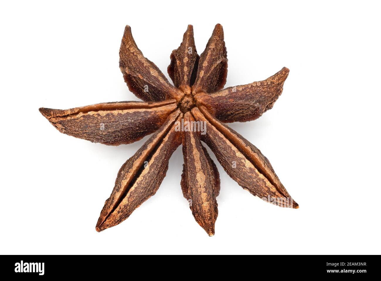 Star aniseeds -Fotos und -Bildmaterial in hoher Auflösung – Alamy