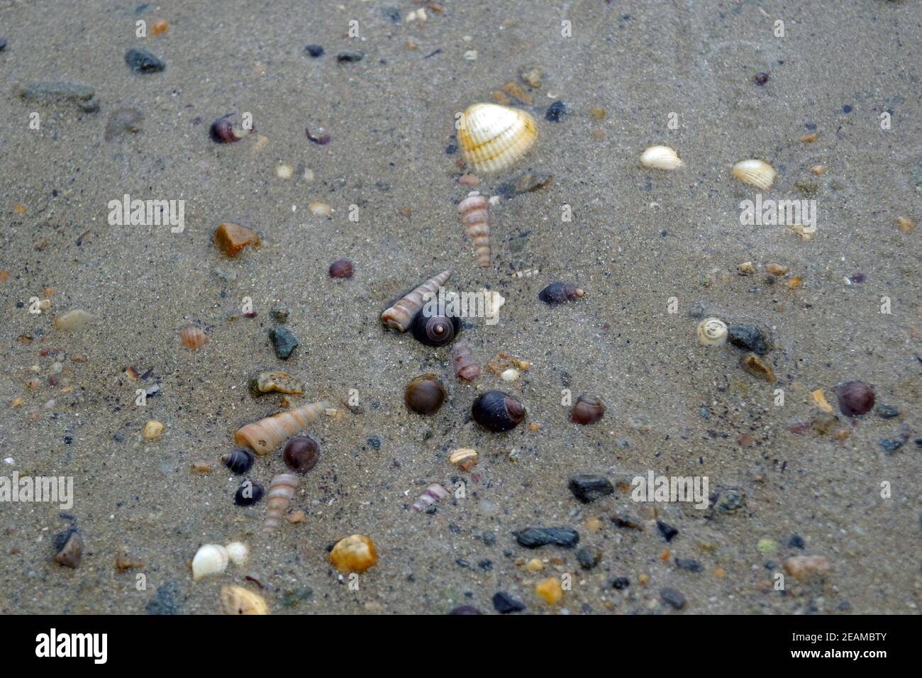 Elly bay strand -Fotos und -Bildmaterial in hoher Auflösung – Alamy