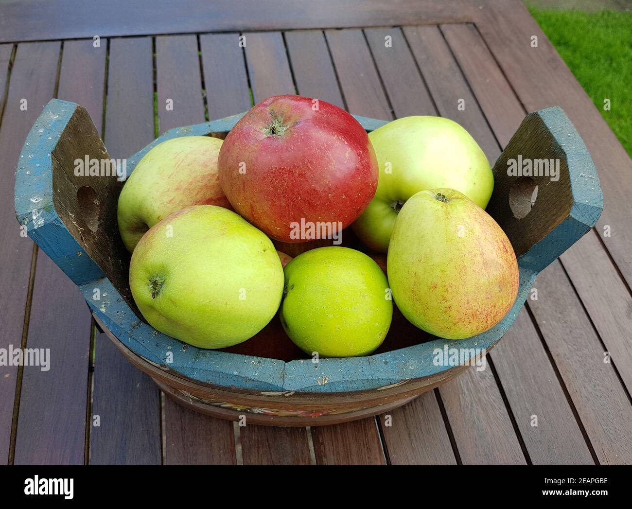 Alte Apfelsorten, verschiedene, Apfel, Malus, domestica Stockfotografie ...