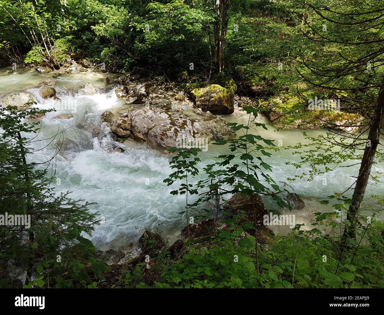 Ramsauer Ache, Ablauf, Hintersee, Fliessgewaesser Stockfotografie - Alamy