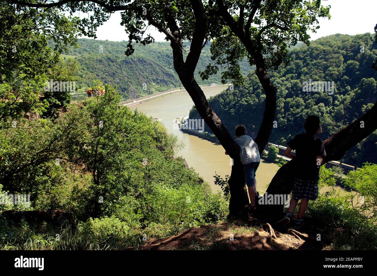 Blick von der Loreley, Rhein Stockfotografie - Alamy