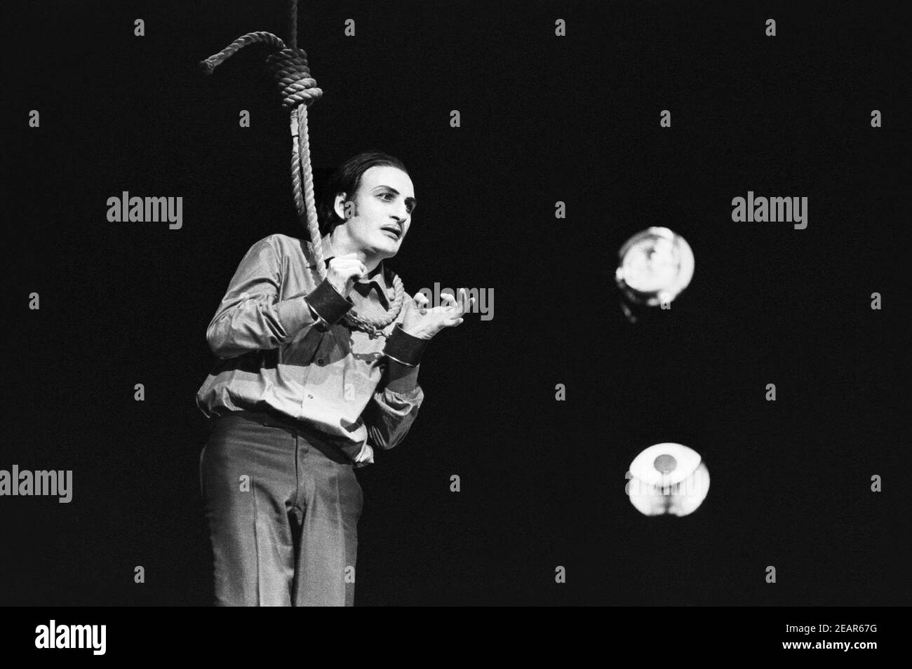 Rosmarin vercoe -Fotos und -Bildmaterial in hoher Auflösung – Alamy