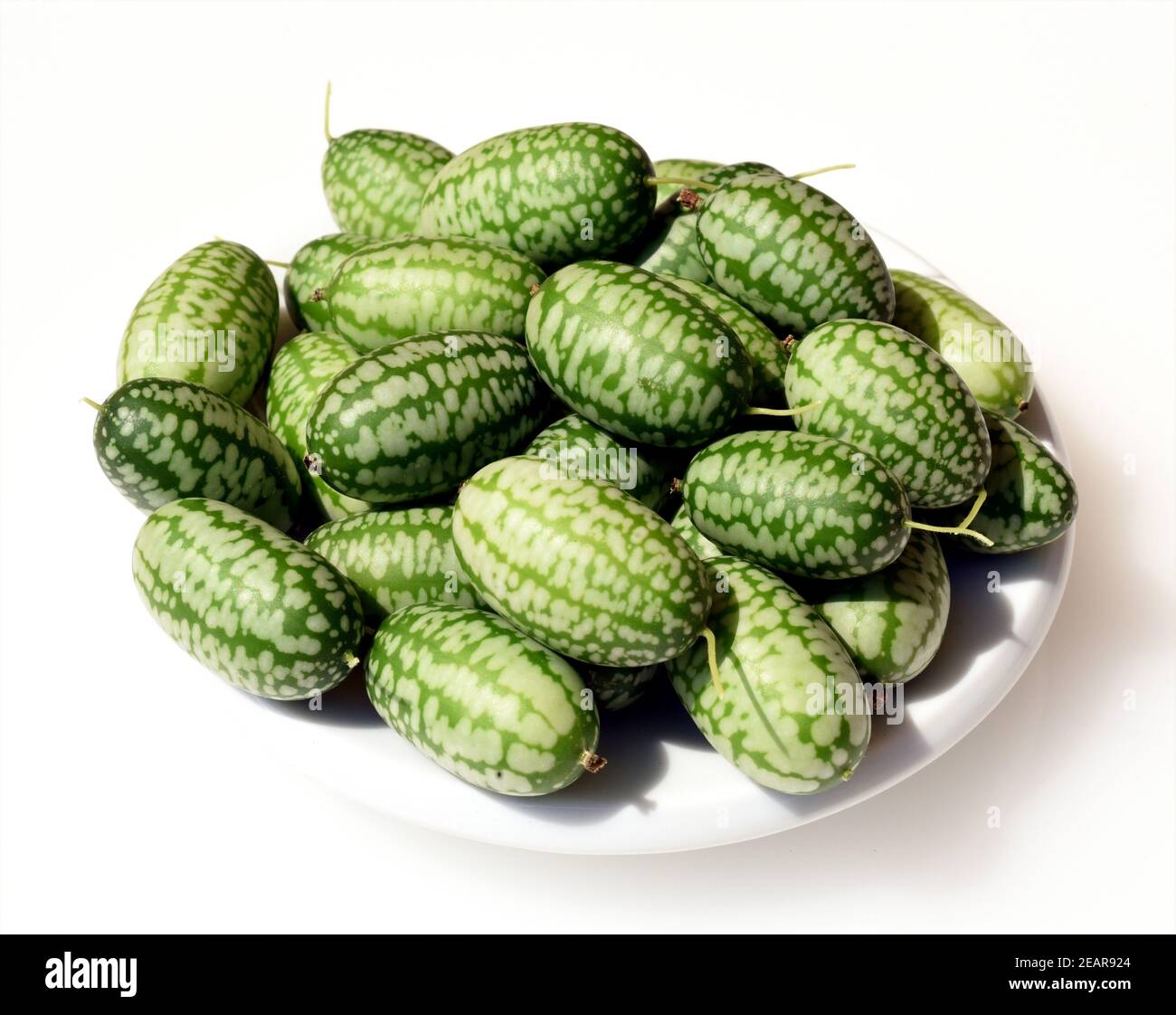 Mini cucumber Ausgeschnittene Stockfotos und -bilder - Alamy