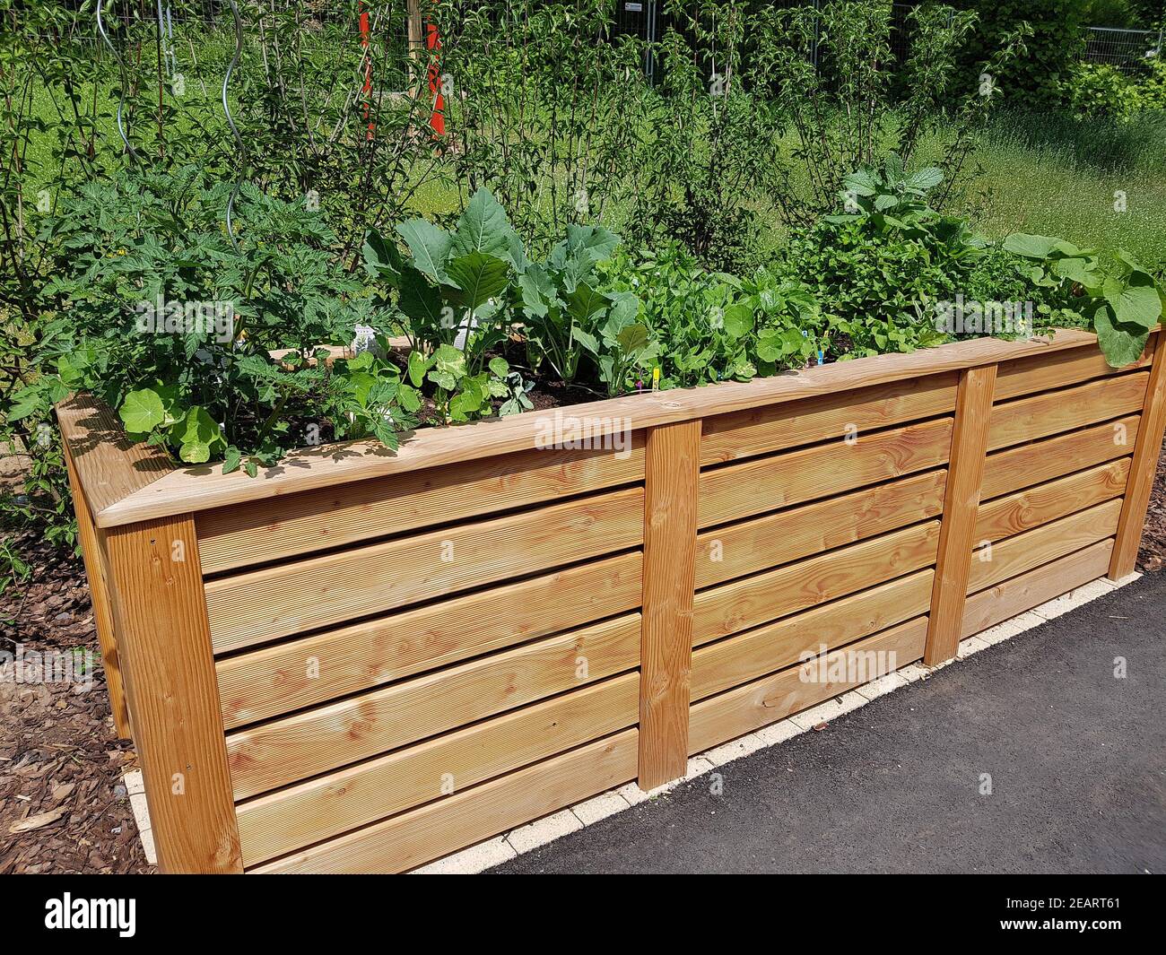Hochbeet beton -Fotos und -Bildmaterial in hoher Auflösung – Alamy