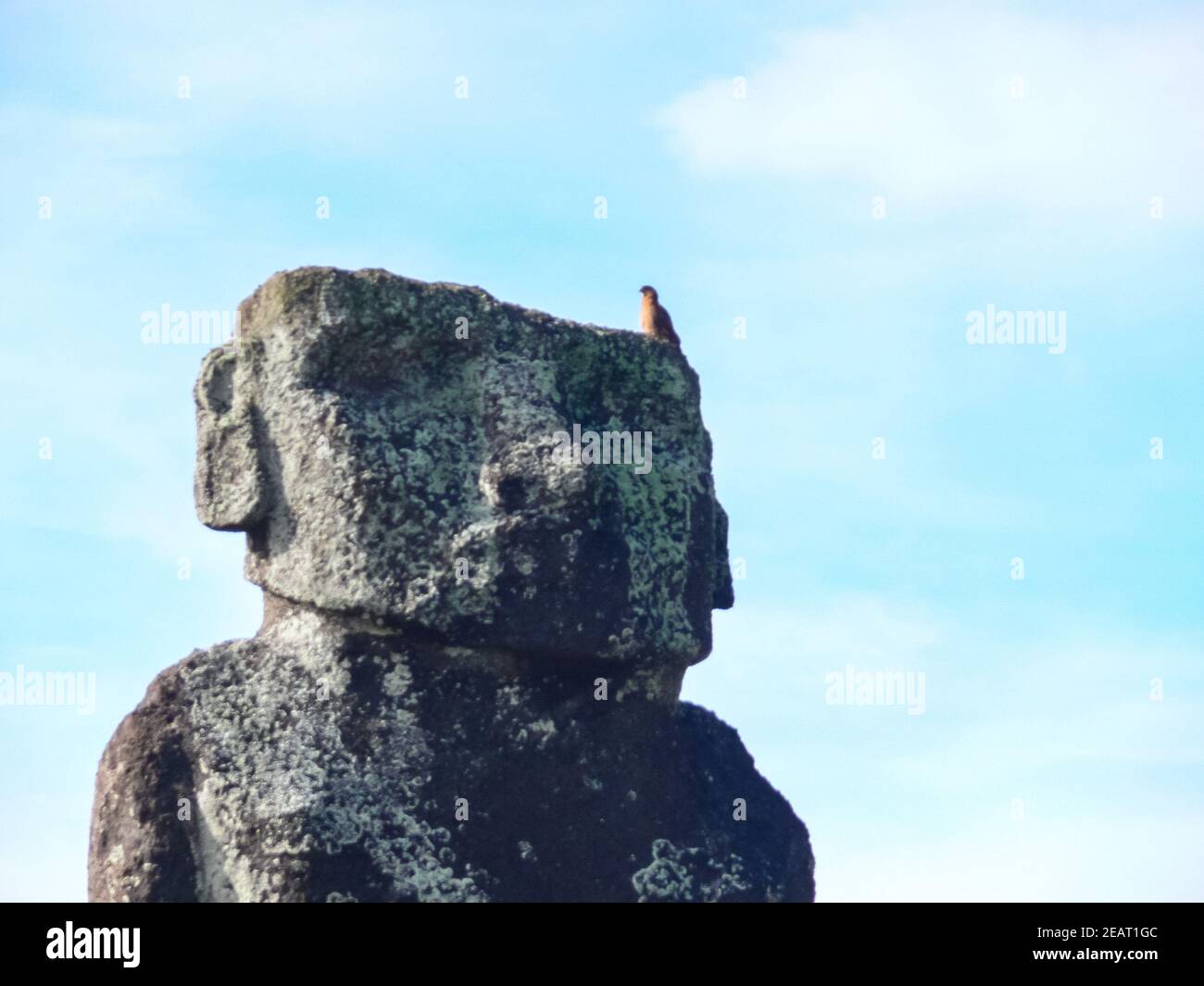 Statuen von göttern -Fotos und -Bildmaterial in hoher Auflösung – Alamy