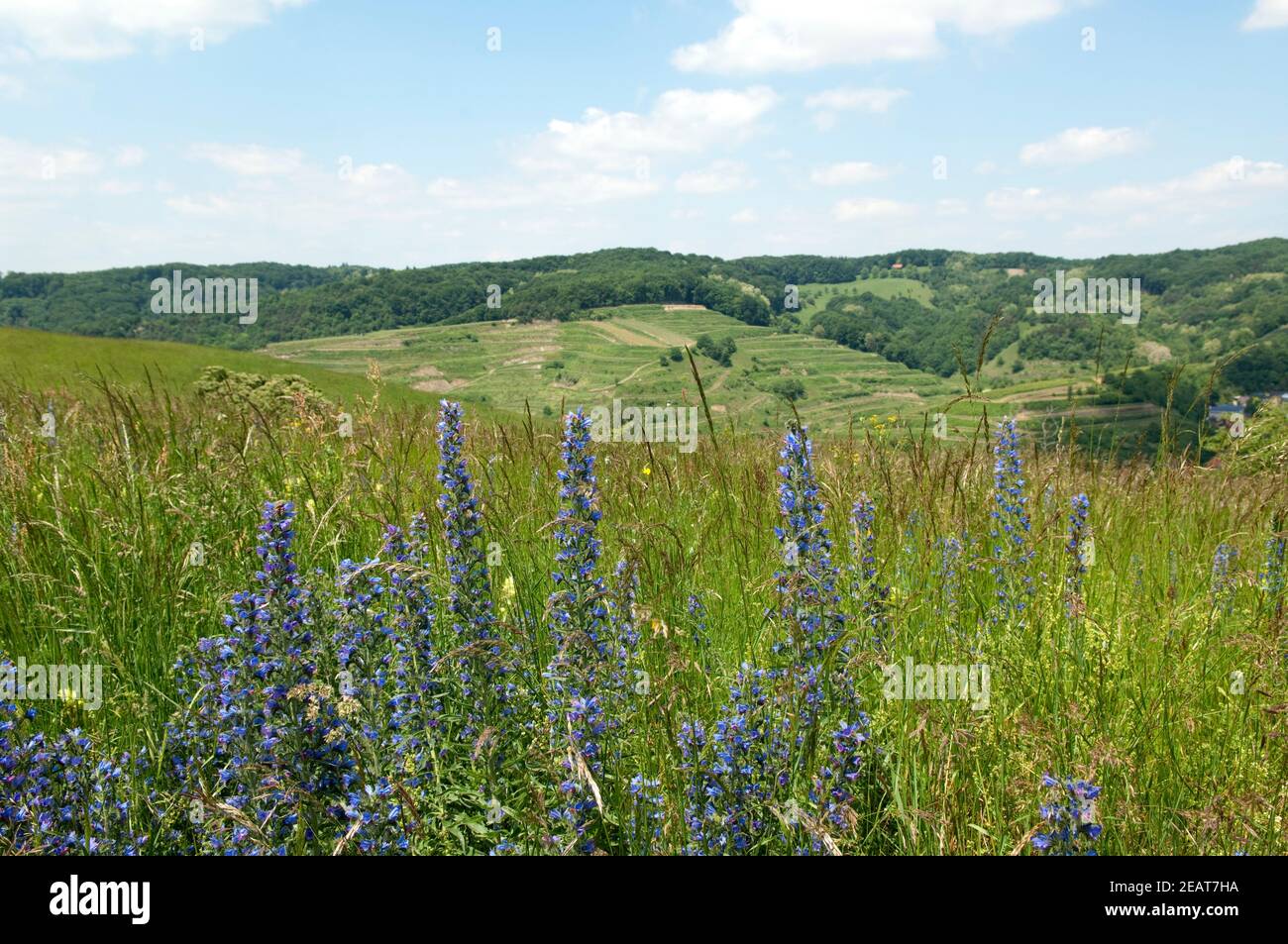 Kaiserstuhl weinberge oberbergen -Fotos und -Bildmaterial in hoher ...