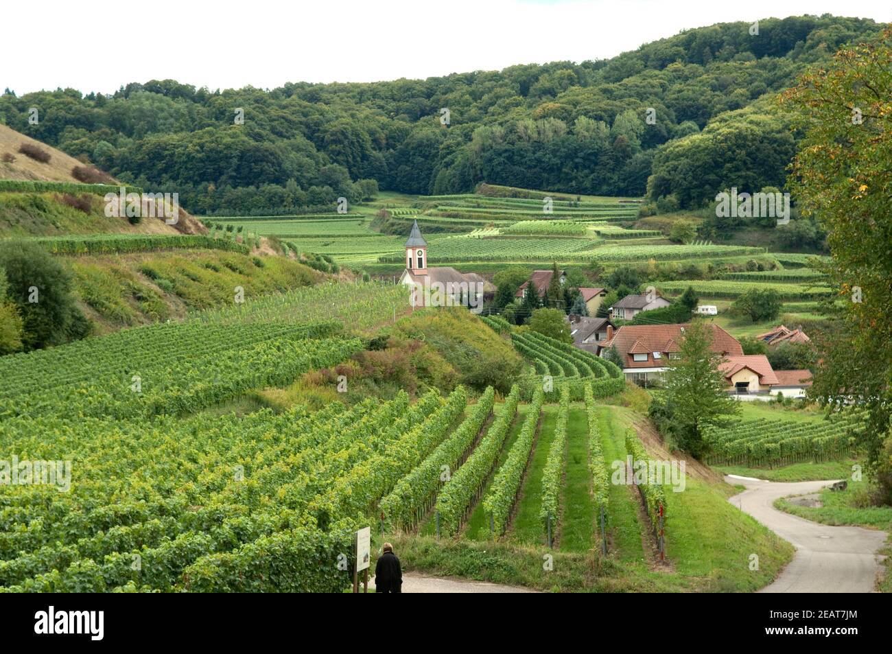 Kaiserstuhl weinberge oberbergen -Fotos und -Bildmaterial in hoher ...