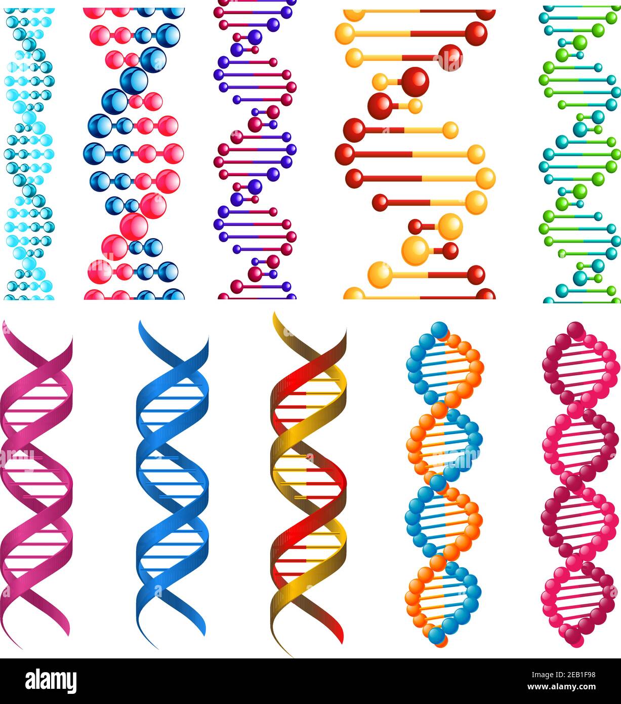 Dna molecules Stock-Vektorgrafiken kaufen - Alamy