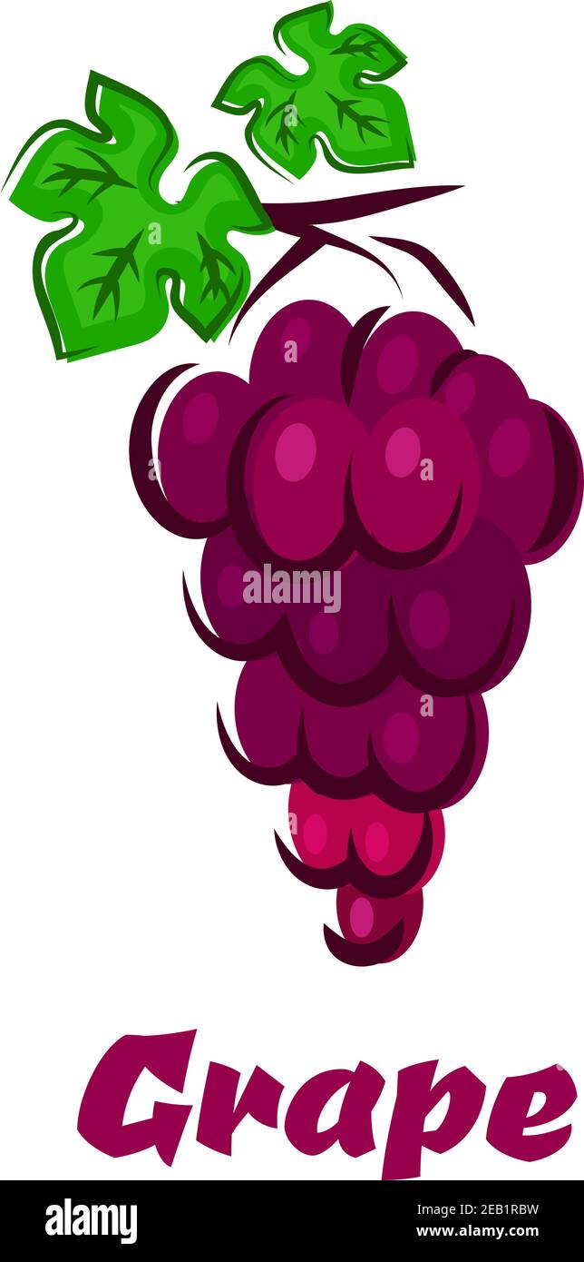 Cartoon bunch grape wine icon Stock-Vektorgrafiken kaufen - Alamy