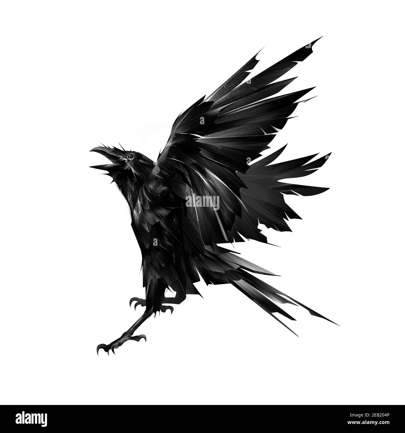 Bleistift gezeichnet tattoo rabe -Fotos und -Bildmaterial in hoher ...