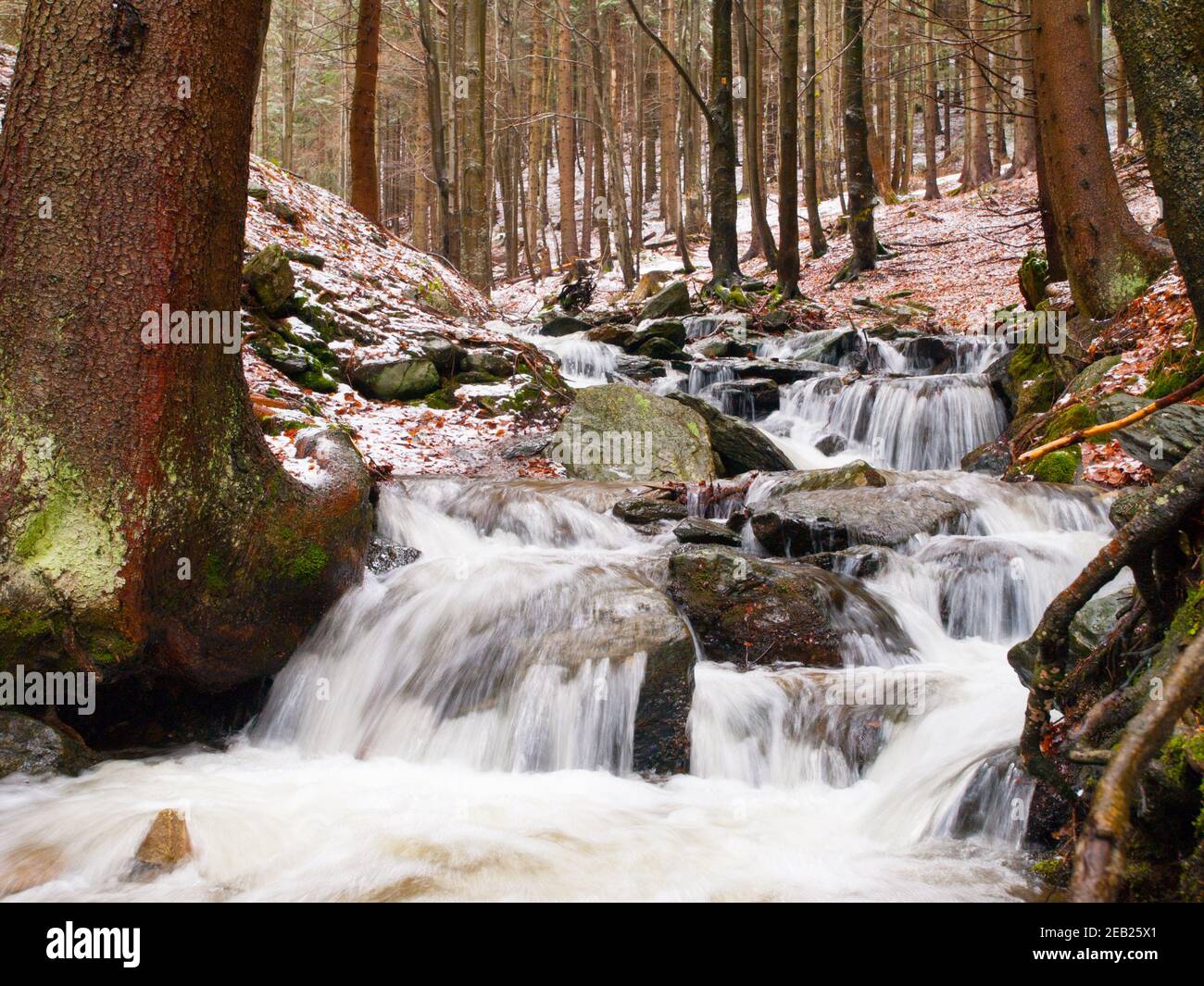 Wald und wasserfall -Fotos und -Bildmaterial in hoher Auflösung – Alamy