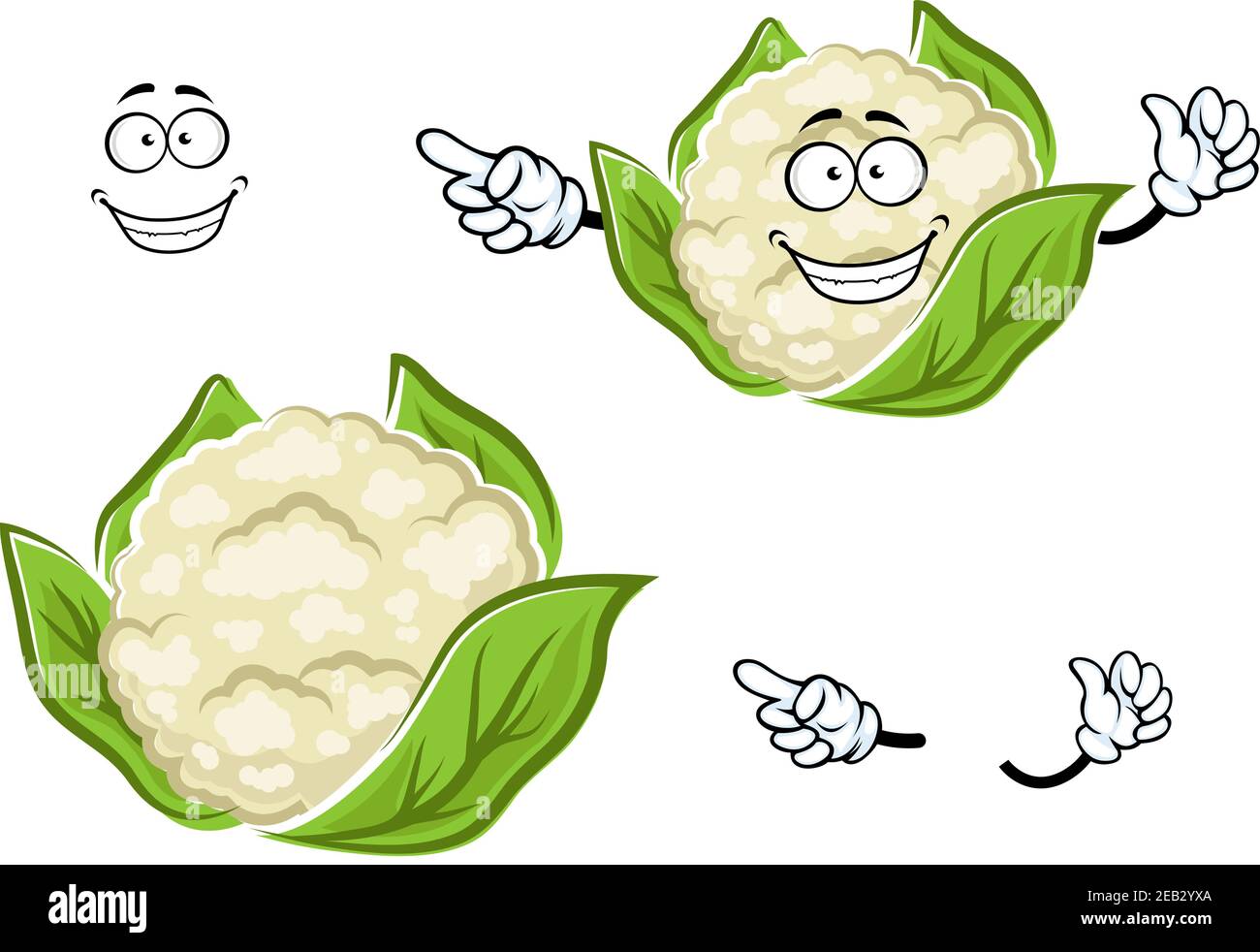 Cartoon cabbage leaves Stock-Vektorgrafiken kaufen - Alamy