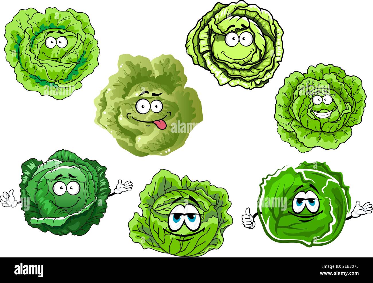 Cartoon cabbage leaves Stock-Vektorgrafiken kaufen - Alamy