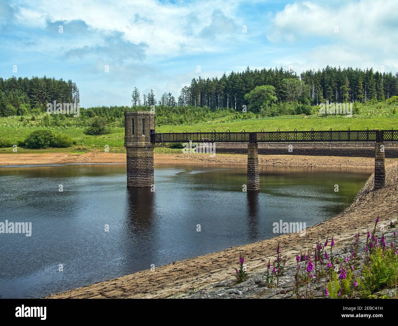 Damm aus holz -Fotos und -Bildmaterial in hoher Auflösung – Alamy