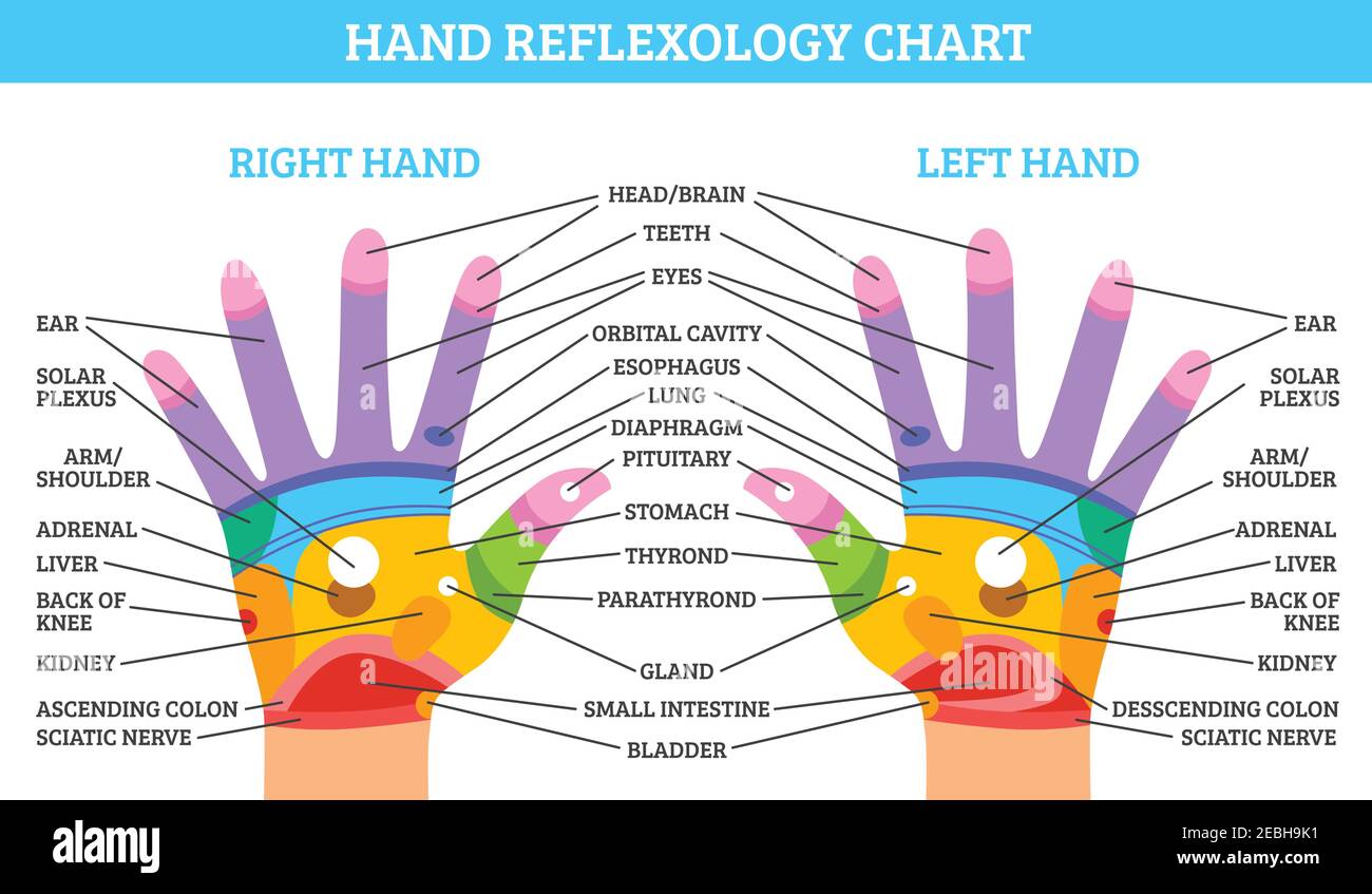 Reflexology chart -Fotos und -Bildmaterial in hoher Auflösung – Alamy