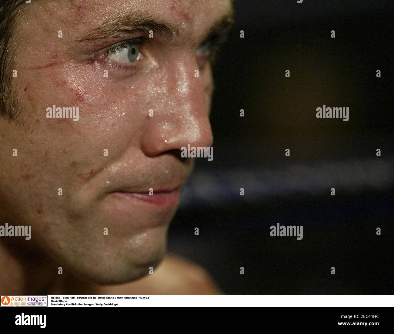 David starie -Fotos und -Bildmaterial in hoher Auflösung – Alamy