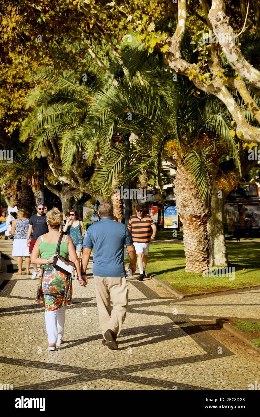 Funchal promenade madeira portugal -Fotos und -Bildmaterial in hoher ...