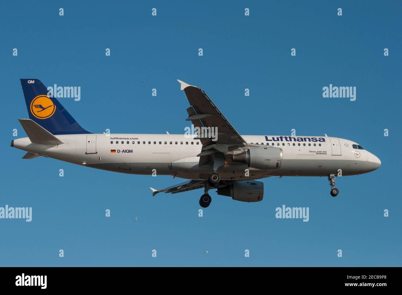 Lufthansa a320 im flug -Fotos und -Bildmaterial in hoher Auflösung – Alamy
