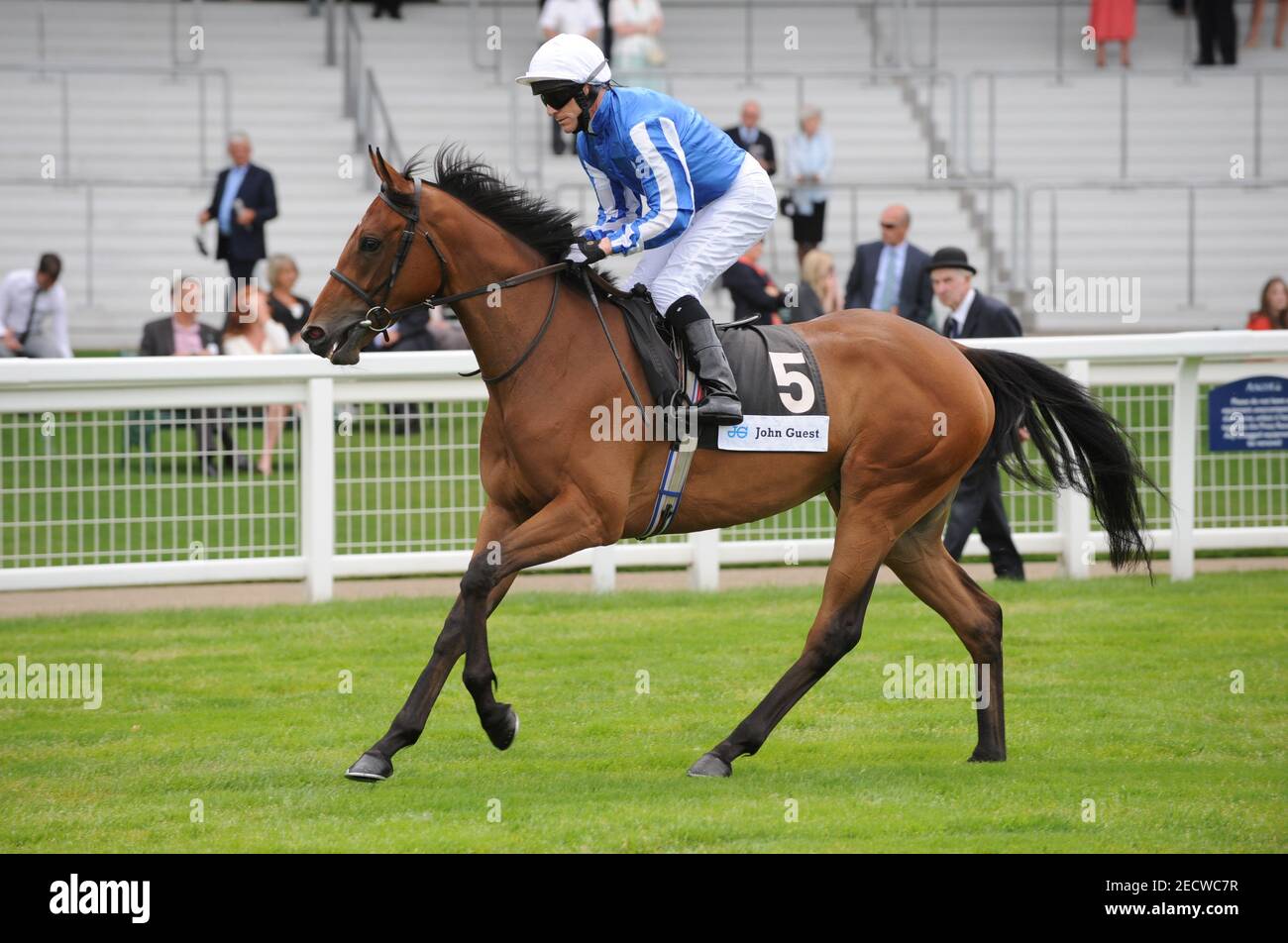 Layla george -Fotos und -Bildmaterial in hoher Auflösung – Alamy