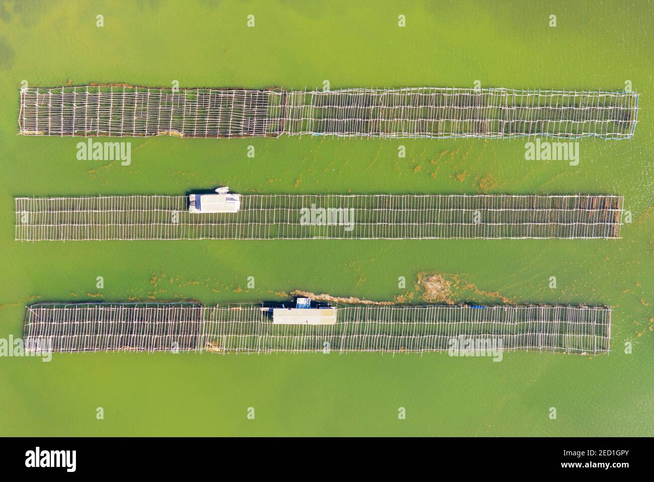 Muschel- und Austernzucht in der Bahia del Fangar, Luftaufnahme ...