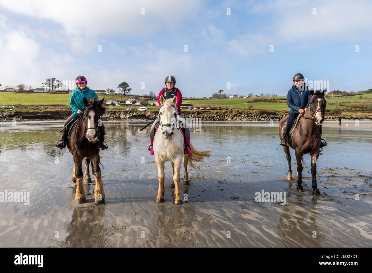 Pferde strand -Fotos und -Bildmaterial in hoher Auflösung – Alamy