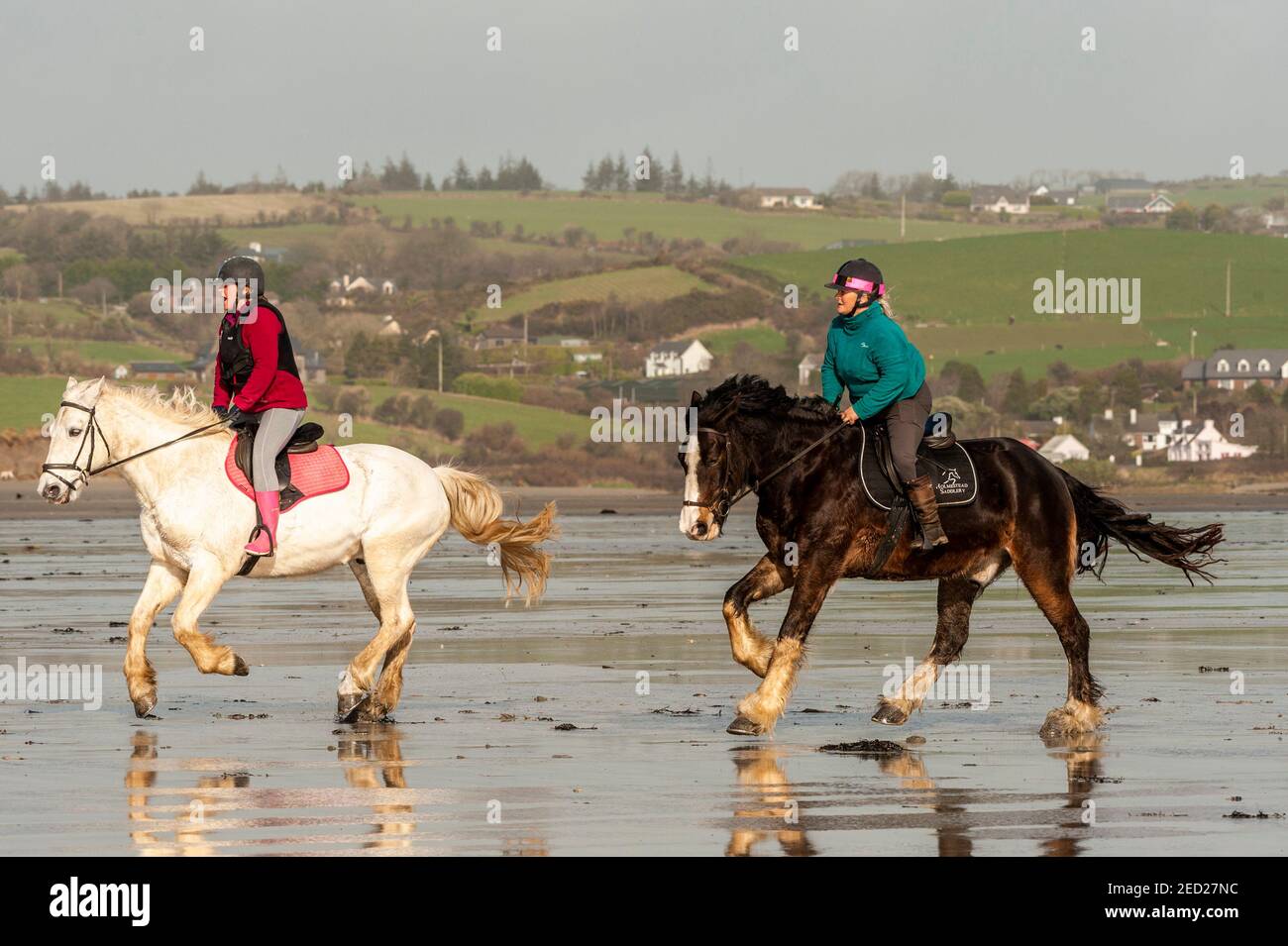 Pferde strand -Fotos und -Bildmaterial in hoher Auflösung – Alamy