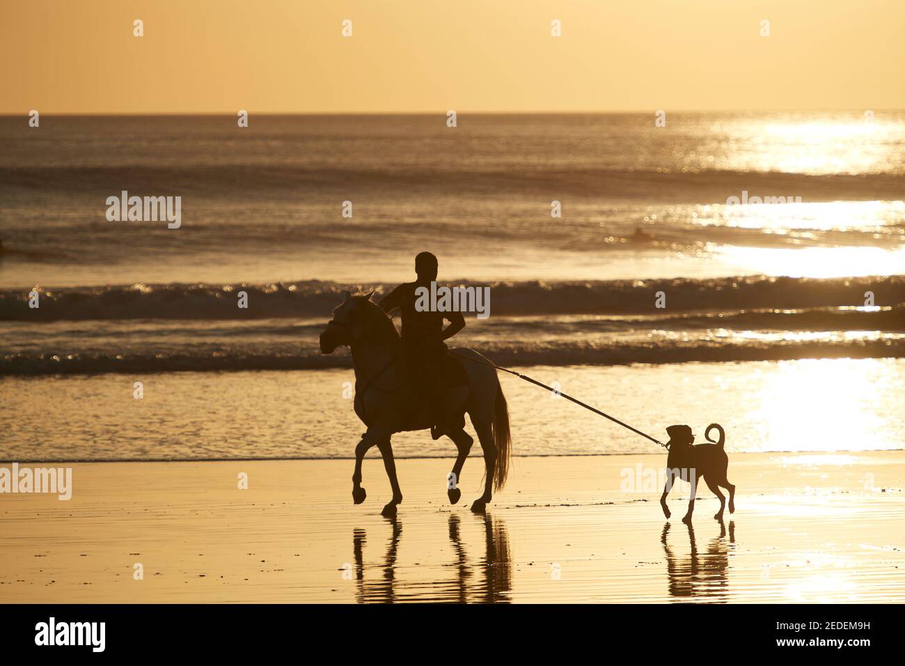 Goldenes stundenpferd -Fotos und -Bildmaterial in hoher Auflösung – Alamy
