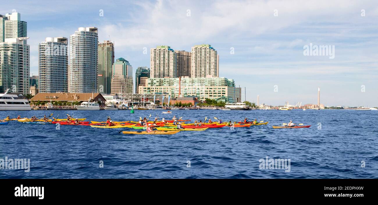 Menschen, die im Hafen von Toronto, Lake Ontario, mit dem Kajak durch ...