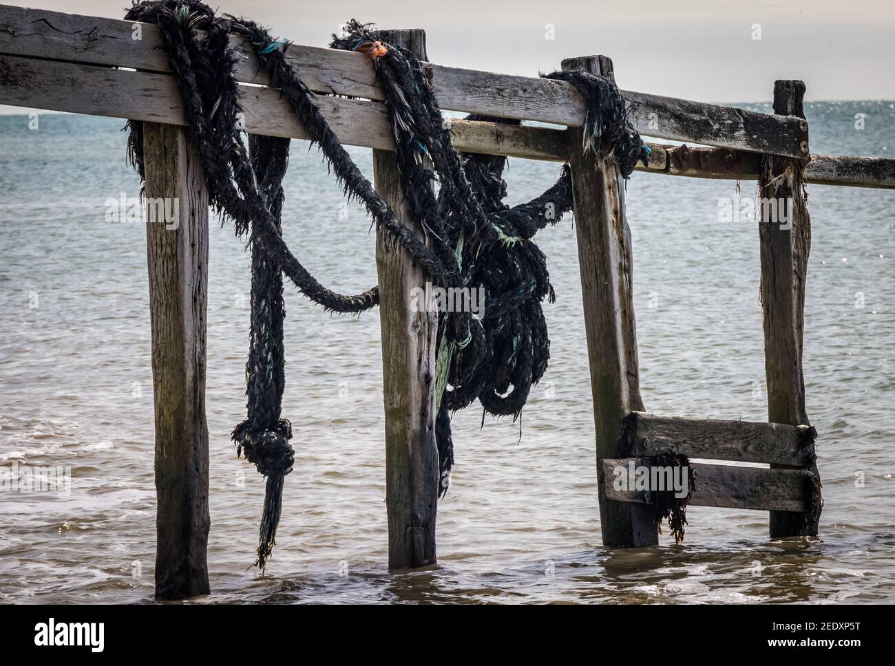 Verlassene fischernetze -Fotos und -Bildmaterial in hoher Auflösung – Alamy
