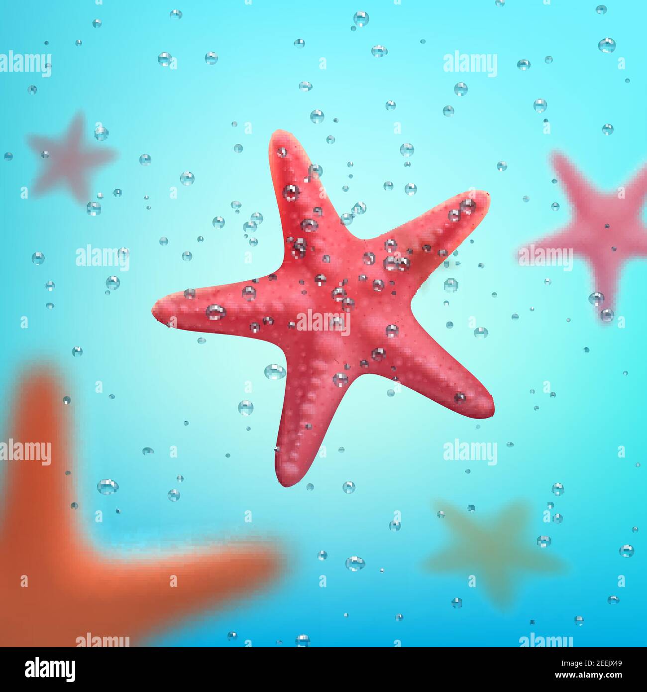 Schwimmender seestern -Fotos und -Bildmaterial in hoher Auflösung – Alamy