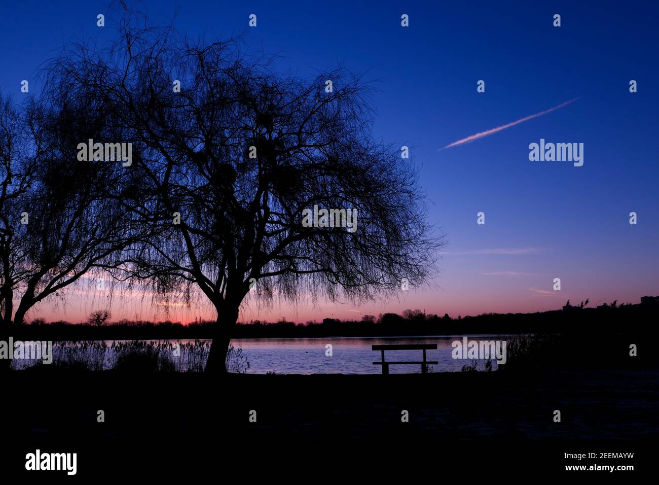 Willow tree bench -Fotos und -Bildmaterial in hoher Auflösung – Alamy