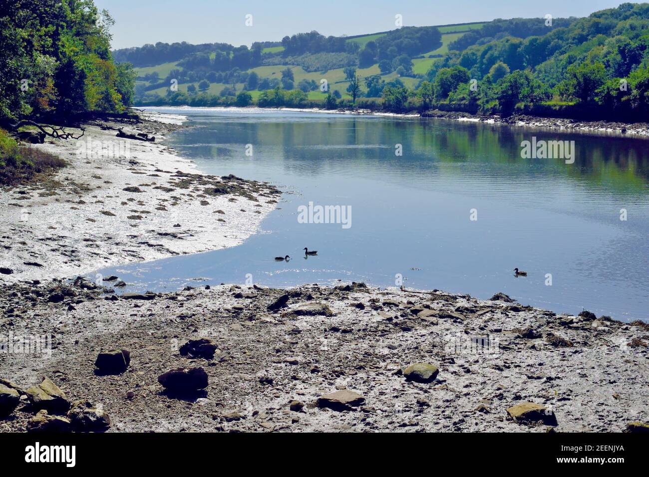 Exposed Riverbed Stockfotos und -bilder Kaufen - Alamy