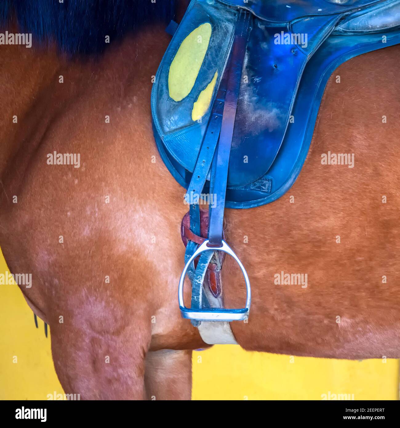 Reiten ohne sattel auf einem pferd -Fotos und -Bildmaterial in hoher ...