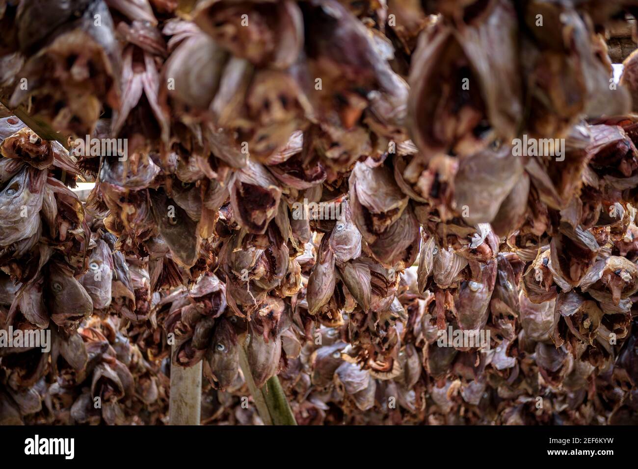 Circulo en circulo -Fotos und -Bildmaterial in hoher Auflösung – Alamy