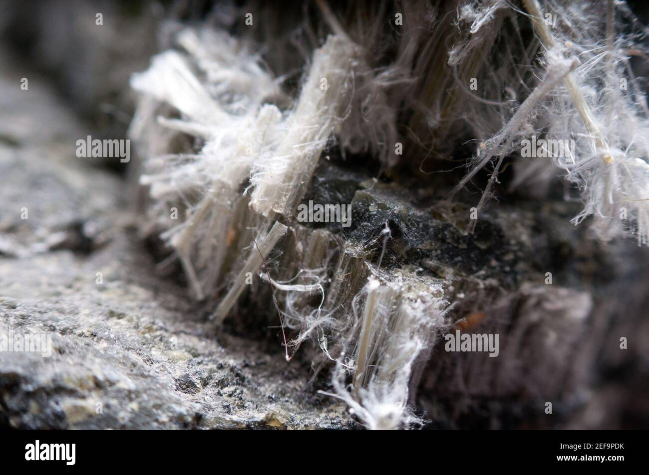 Silica faser -Fotos und -Bildmaterial in hoher Auflösung – Alamy