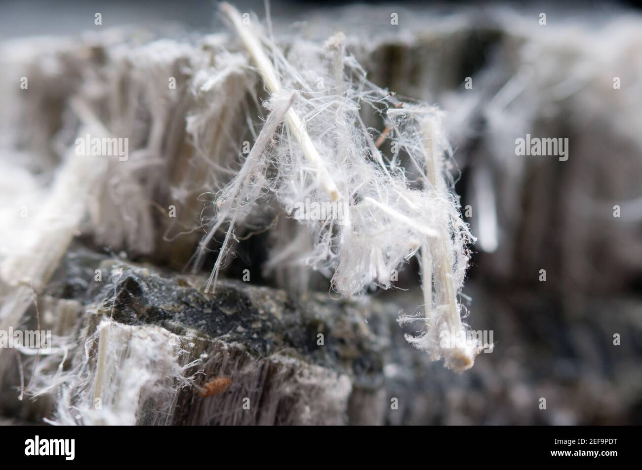 Silica faser -Fotos und -Bildmaterial in hoher Auflösung – Alamy