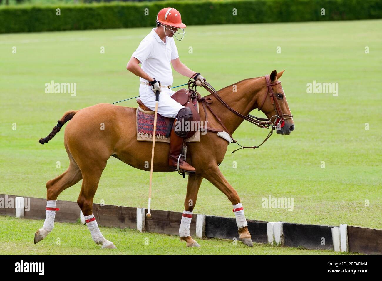 Seitenprofil eines mannes, der ein pferd reitet -Fotos und ...