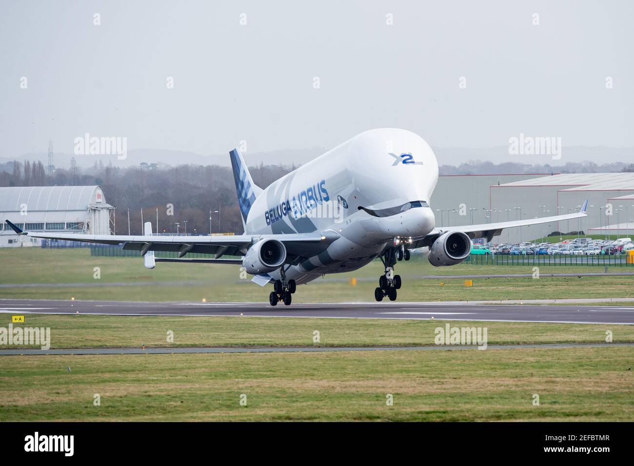 Beluga a330 -Fotos und -Bildmaterial in hoher Auflösung – Alamy
