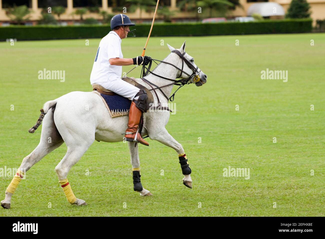 Seitenprofil Eines Mannes, Der Ein Pferd Reitet Stockfotos und -bilder ...