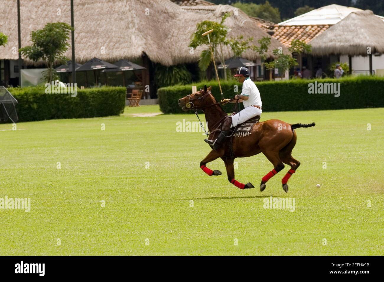Seitenprofil eines mannes, der ein pferd reitet -Fotos und ...