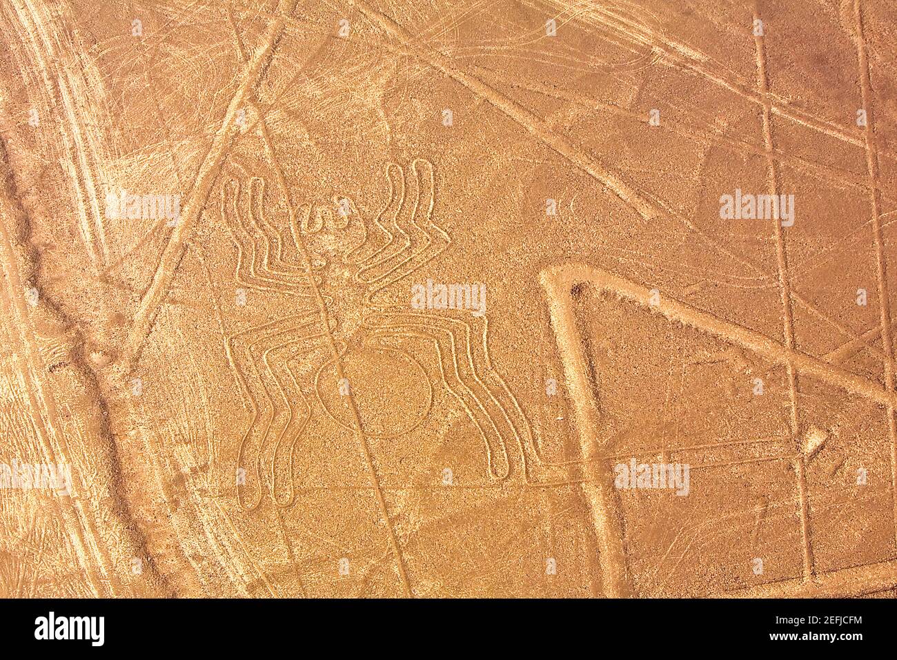 Luftaufnahme der Nazca-Linien, die eine Spinne darstellen, Nazca, Peru ...