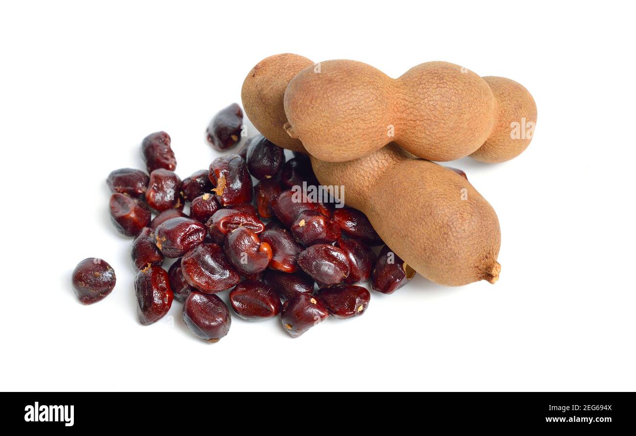 Reife tamarinde -Fotos und -Bildmaterial in hoher Auflösung – Alamy